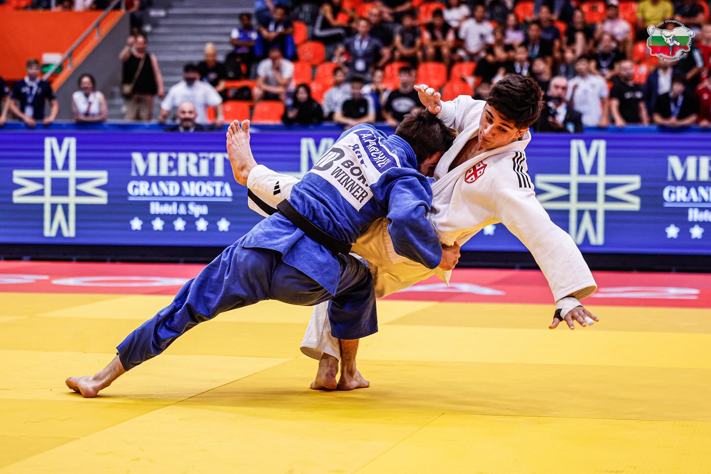 [ძიუდო. ევროპის ჩემპიონატი. ჭაბუკები] ვიცე-ჩემპიონი გივიშვილი და ოქროს მოლოდინი | Lelo.Ge